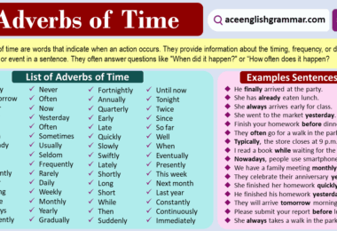 AceEnglishGrammar - Ace English Grammar Fast