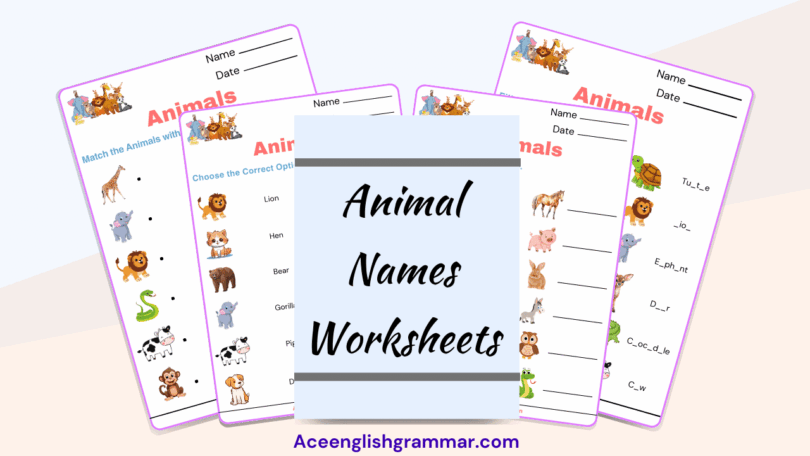 Animal Names Worksheets in English - AceEnglishGrammar