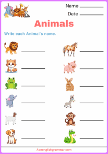 Animal Names Worksheets in English - AceEnglishGrammar