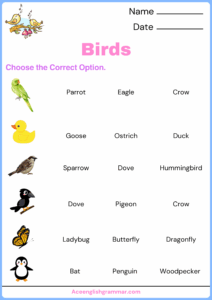 Birds Names Worksheets in English - AceEnglishGrammar
