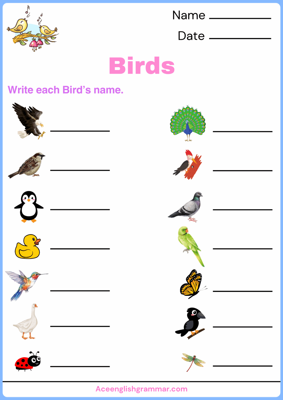 Birds Names Worksheets in English - AceEnglishGrammar