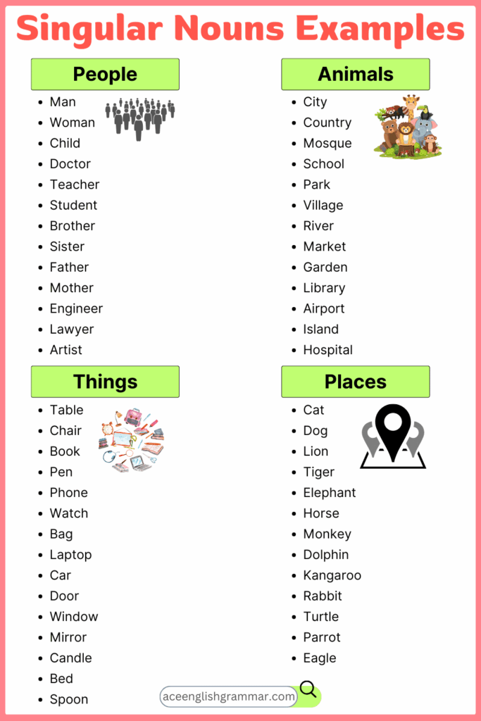 Singular Nouns: Definition, Rules with Explanation and Examples