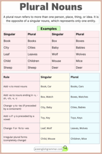 Plural Nouns: Definition, Rules and explanation with Examples ...