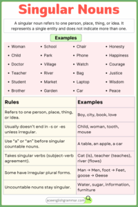 Singular Nouns: Definition, Rules with Explanation and Examples