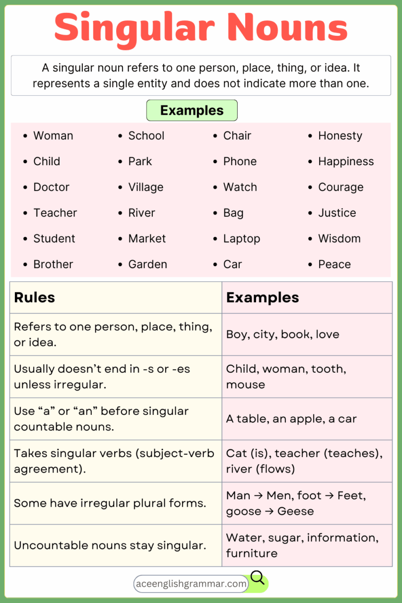 Singular Nouns: Definition, Rules with Explanation and Examples