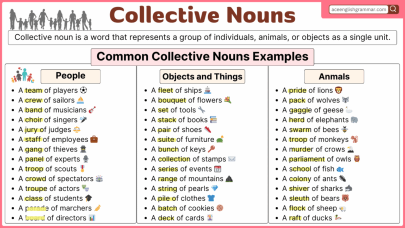 Collective Nouns: Definition and Examples in English