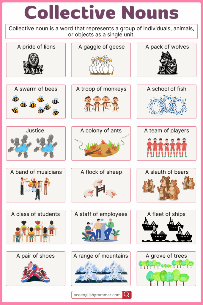 Collective Nouns: Definition and Examples in English