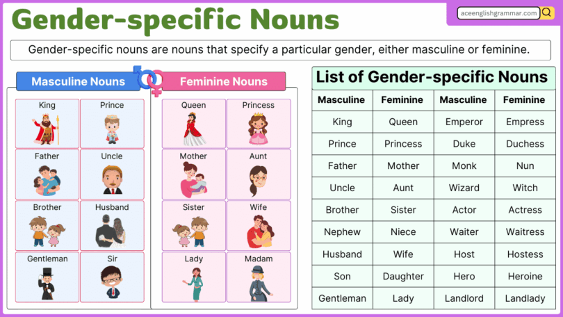 Gender-specific Nouns | Definition and Examples List AceEnglishGrammar