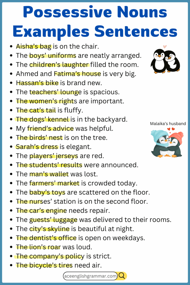 Possessive Nouns : Explanation and Examples