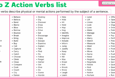 AceEnglishGrammar - Ace English Grammar Fast